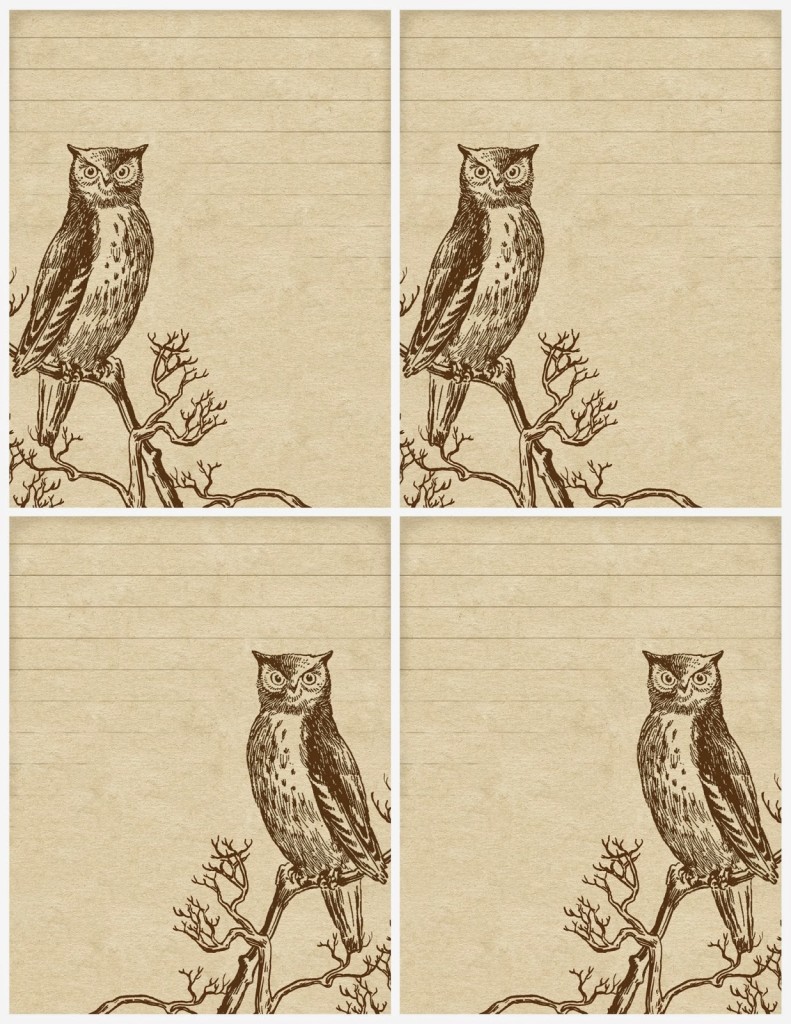 Owl Stationery by Megan at Lilac & Lavender - The Old Design Shop